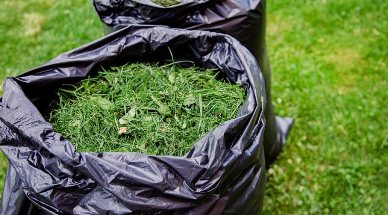 Clear Green Waste and Restore Your Yard in 9 Simple Steps